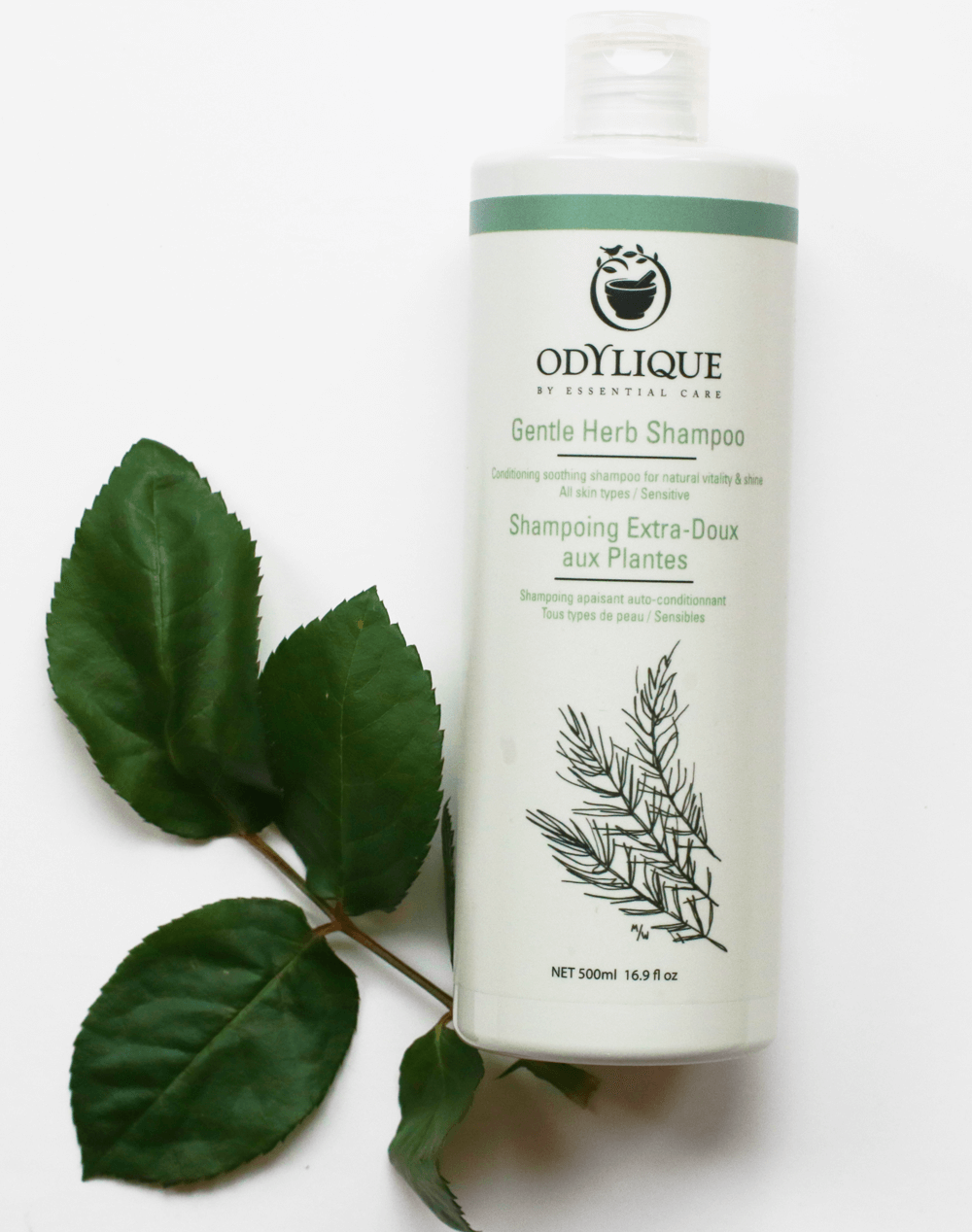 How was Gentle Herb Shampoo born?
