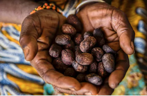 Top 10 Fairtrade Products & Companies That You're Going To Love!